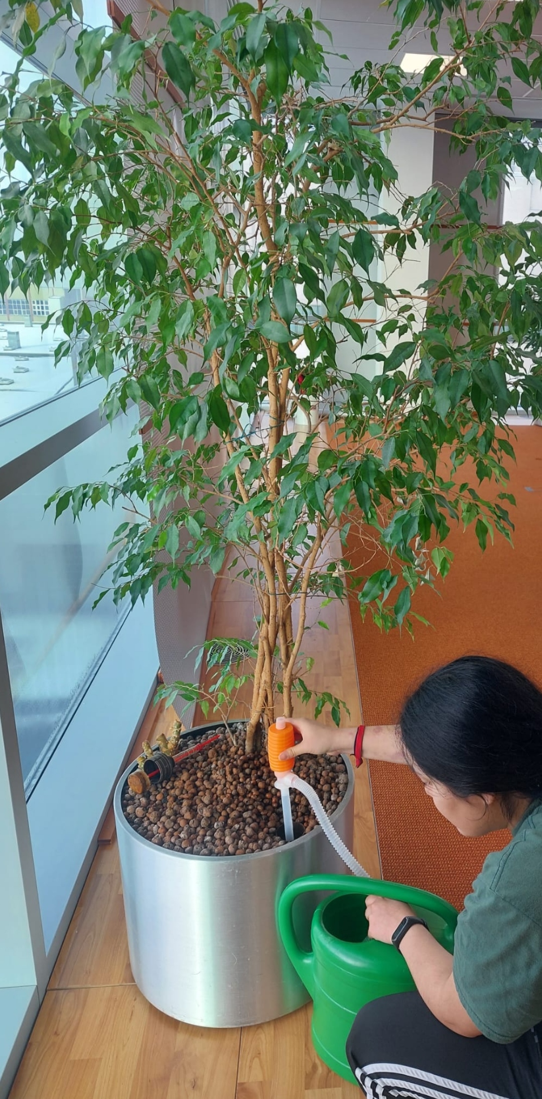 Interview with Michael Borchers of Euflora – EULe