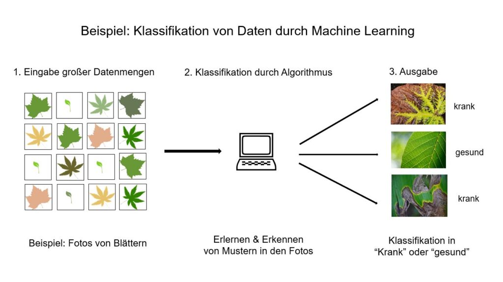 Big Data- Big Potential – Science Blog der Uni Bremen